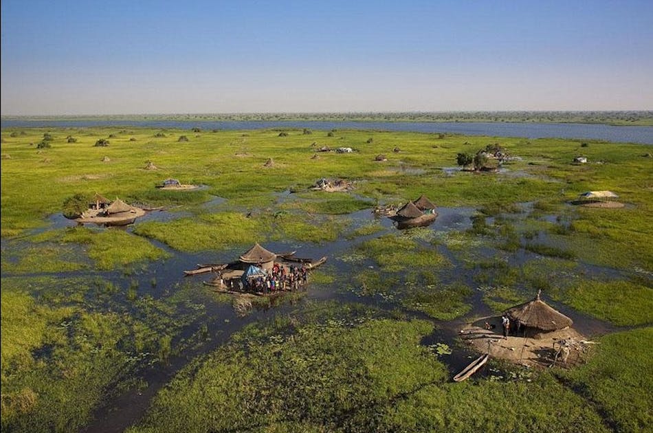 Sudd Flooded Grasslands One Earth sudd-flooded-grasslands-one-earth